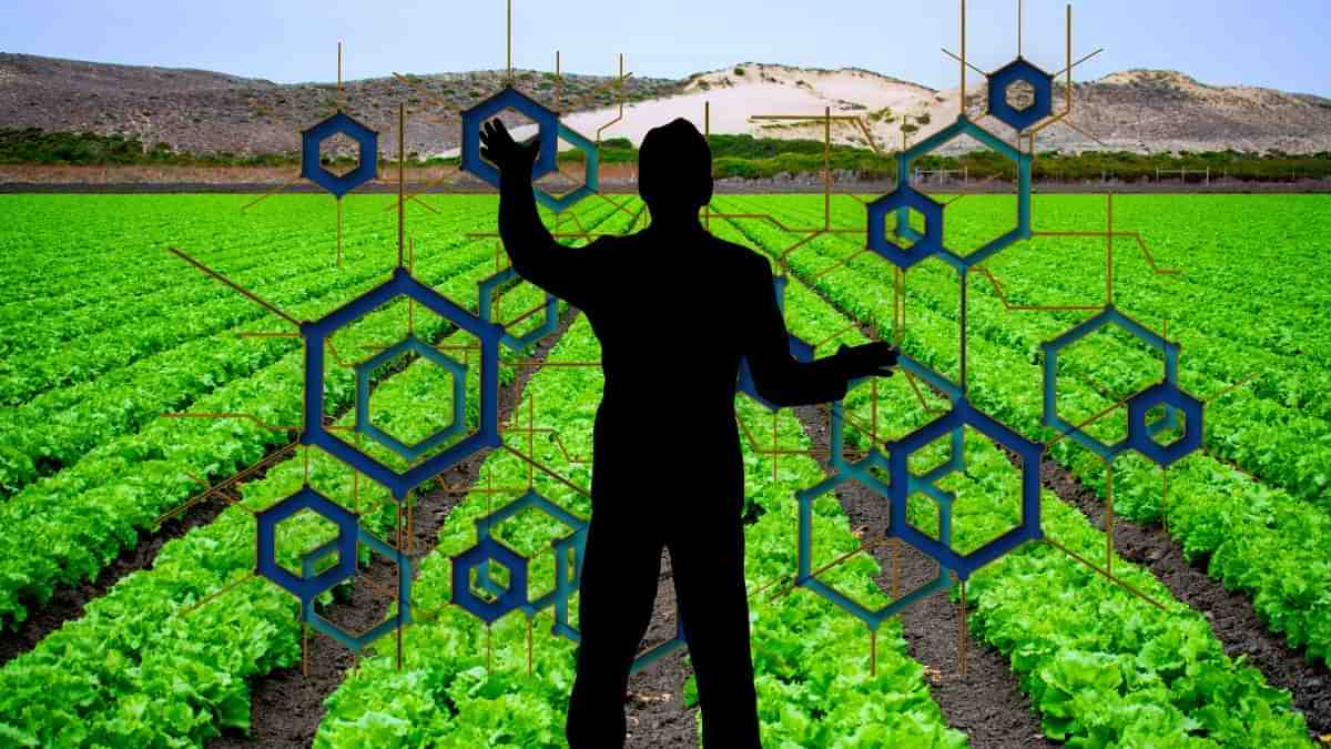 Using Blockchain To Improve Traceability And Sustainability In